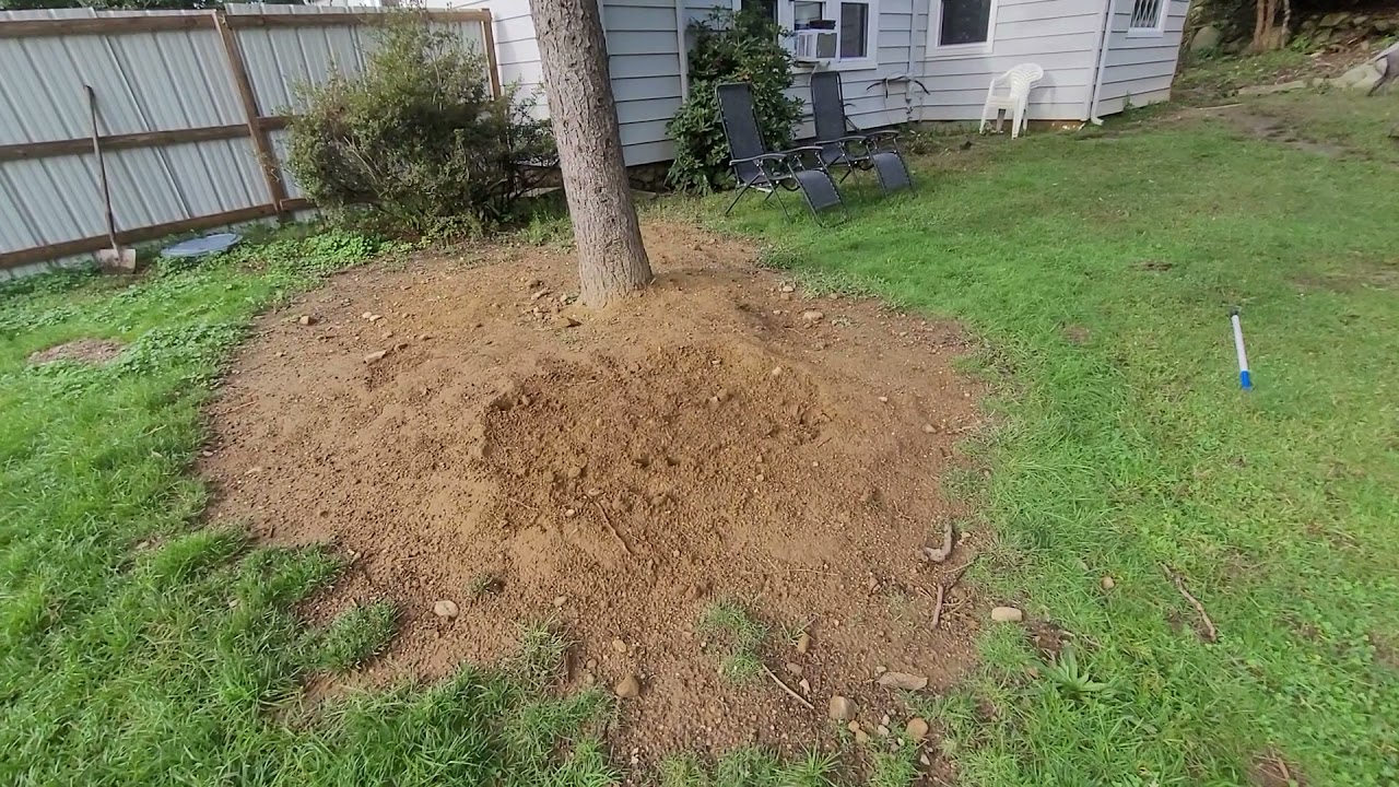 Outdoor Enrichment Ideas