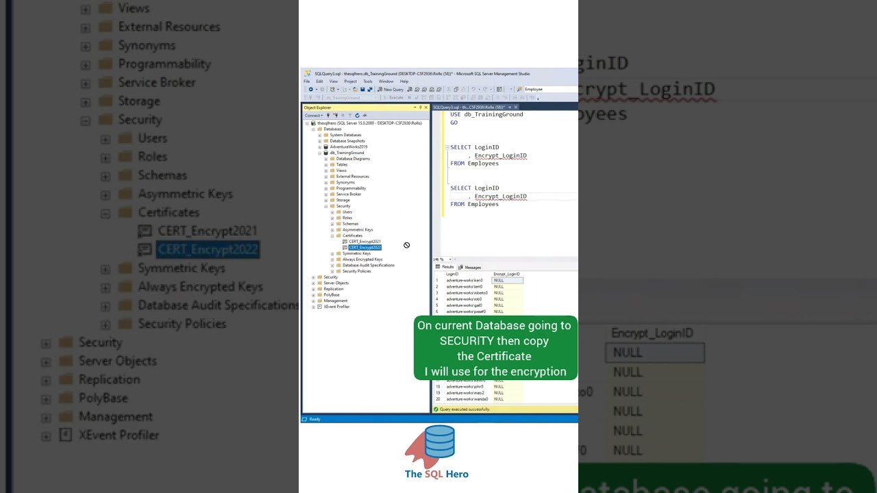 Could you hack this? #sql #encryption #datascience #security #dataengineering #dataanalytics #data