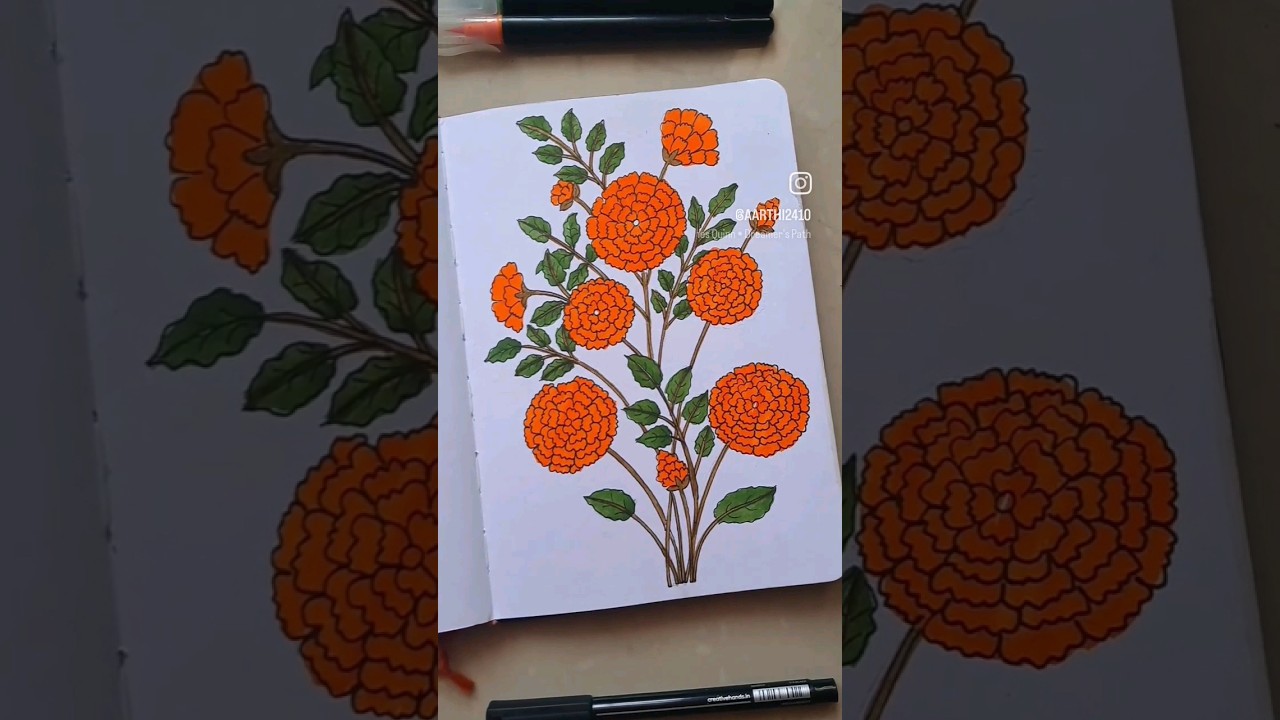 Marigolds :)#marigold #marigolds #floral #florals #flower #Flowers #flowerart #illustration #art
