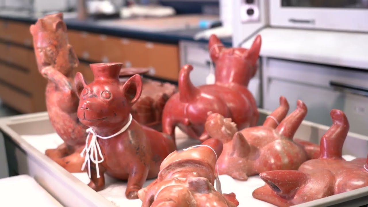 UCLA/Getty Conservation Program