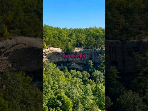 Kentucky vs Missouri: Comparing US States 🌳📸🇺🇸 #shorts