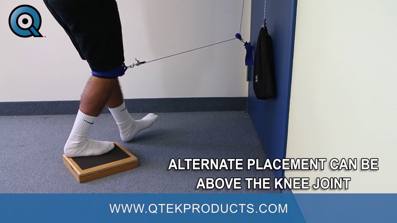 Standing Step Down eccentric quads with Terminal…e extension