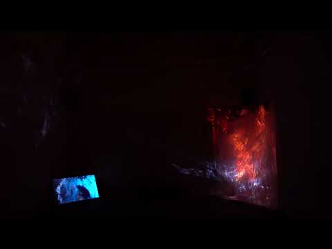 Swamp/Where Is Light (video installation), Phoelix Yiwen Gou 2022