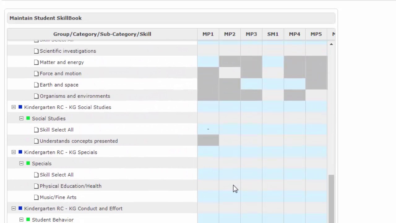 Kindergarten Report Card | TEAMS Skillbook