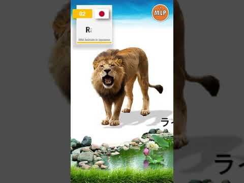 Animals in Japanese Part 1
