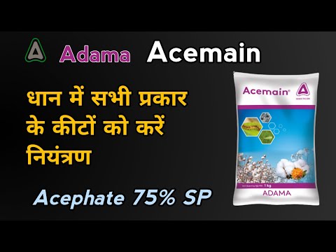 Acephate - Acetamidophos Latest Price, Manufacturers & Suppliers