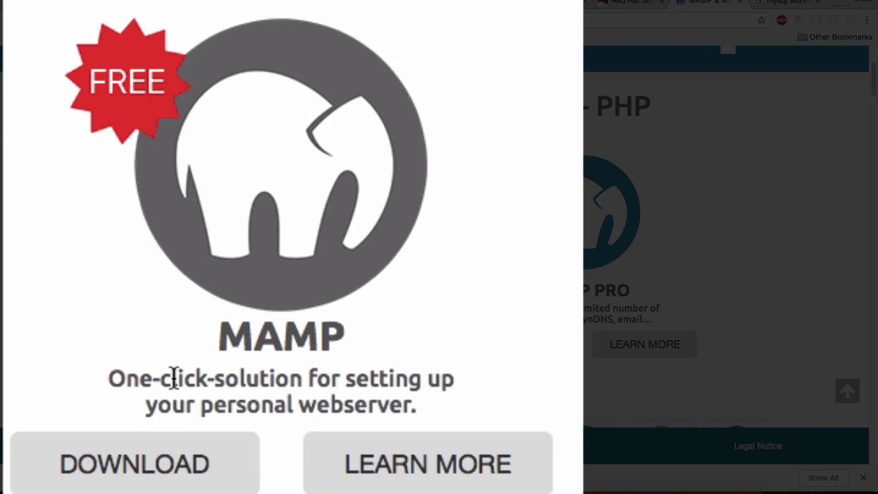 JavaEE Web App 02 - Tools Setup - Assignment #1