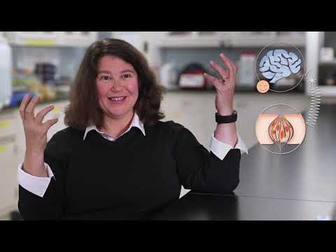Using Bitter Taste to Understand Disease - Breakthrough Science