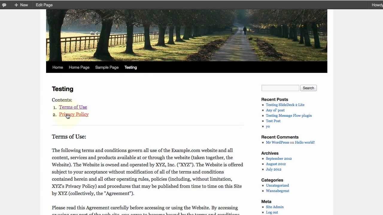 Full Demo of Auto Terms of Service and Privacy Policy WP Plugin
