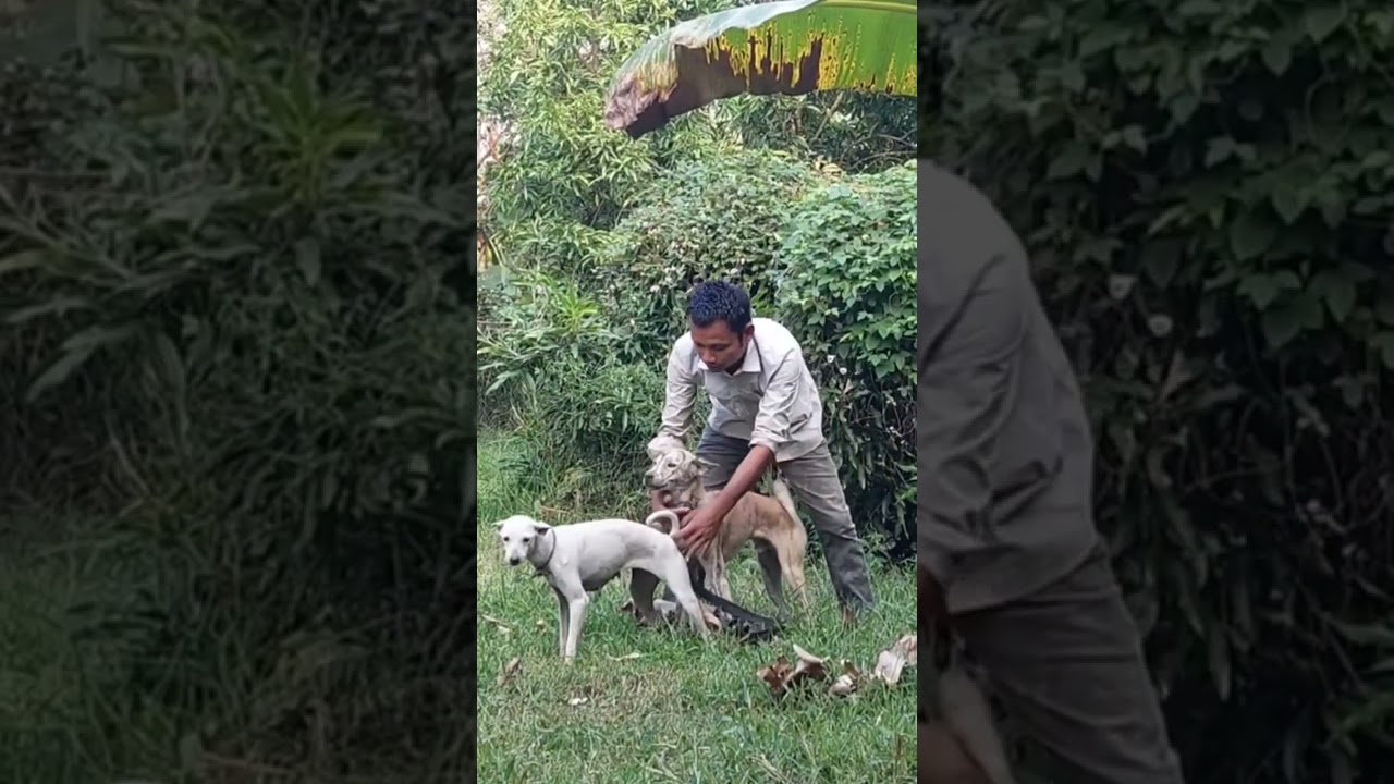 Meet Top Dog Breeders