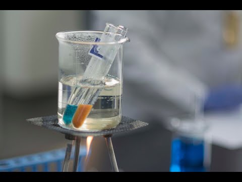 Food Testing Laboratory, Food Testing Lab in India