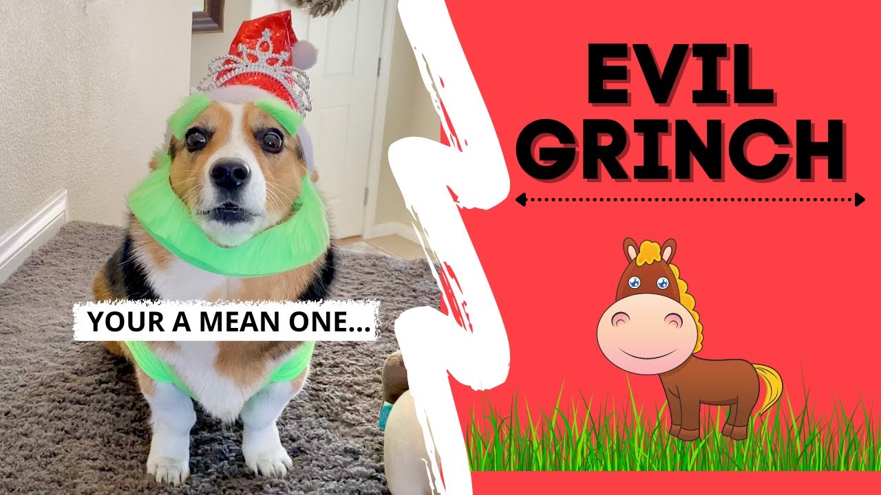 Corgi Steals Brother’s Pony! #grinch #christmas