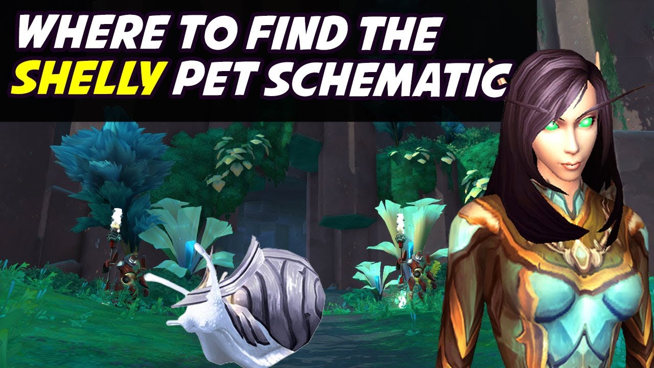 Shelly Location (Pet Schematic)
