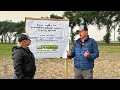 Re-thinking the long-term value of manure