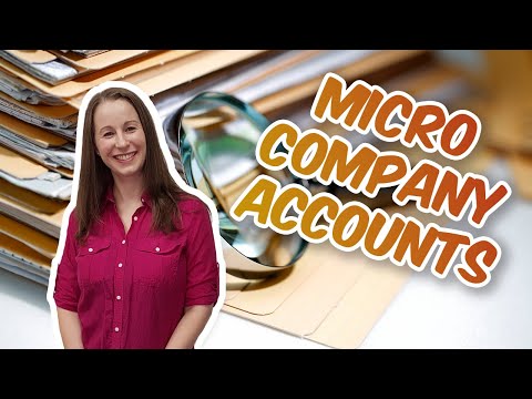 Property Company Accounts - what do they look like? Micro Company Accounts - What are they?