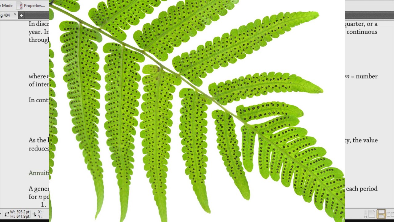 [ENGG 404] 3. Money-Time Relationships: Compound Interest