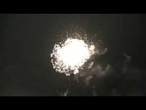 今日の花鳥日誌 みなとHANABI R6