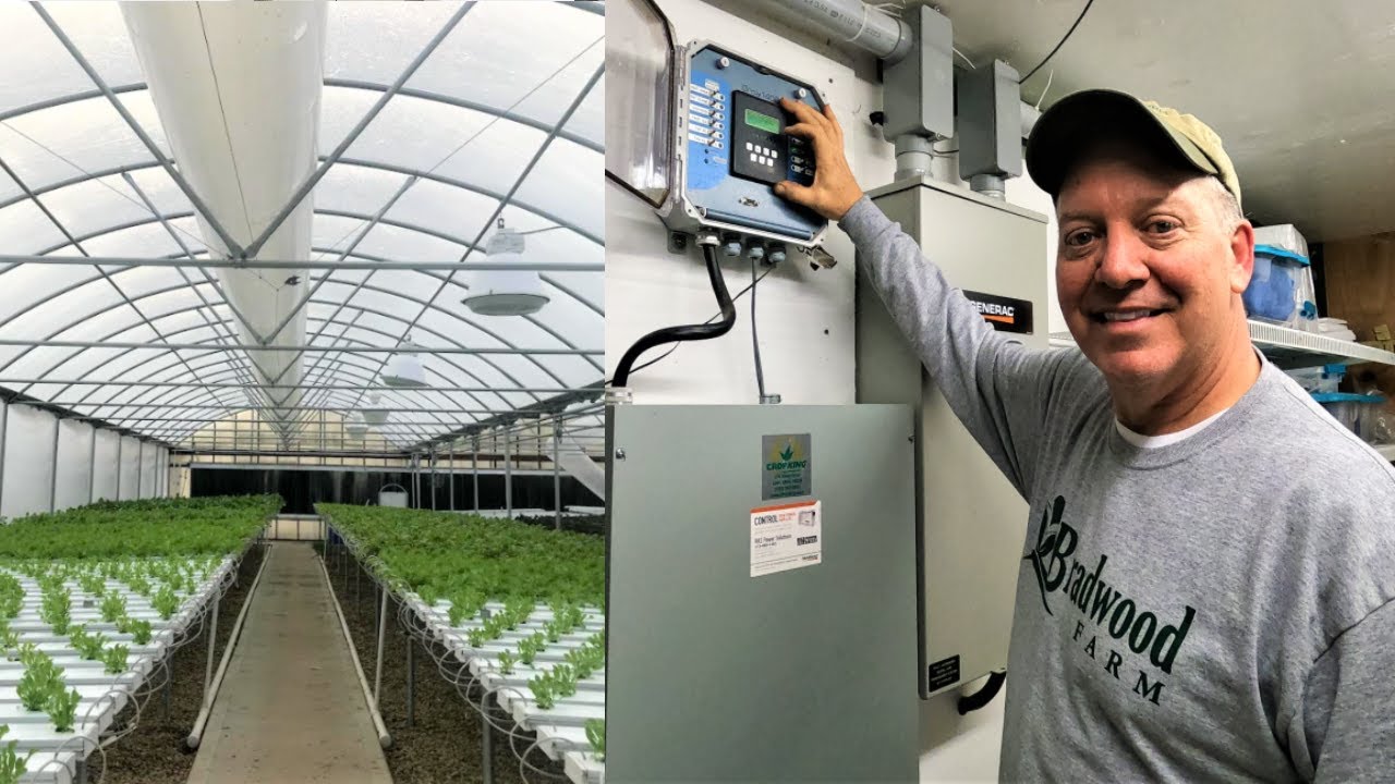 Inside Our Automated Greenhouse: A Comprehensive Look at Environmental ...
