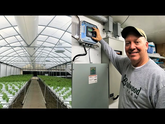 Inside Our Automated Greenhouse: A Comprehensive Look at Environmental ...