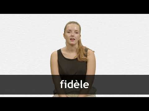 English Translation of “FIDÈLE” | Collins French-English Dictionary