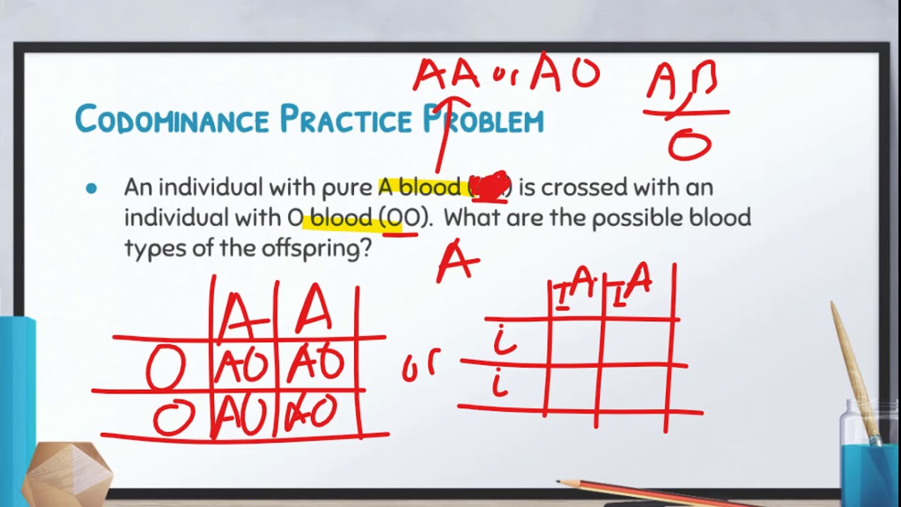 Biology: Video 7-2: Complex Inheritance Patterns