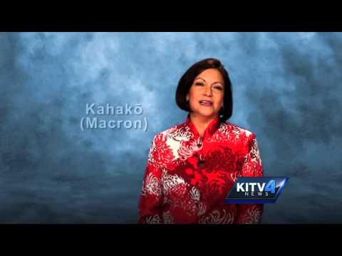 Hawaiian Word of the Day: Hui