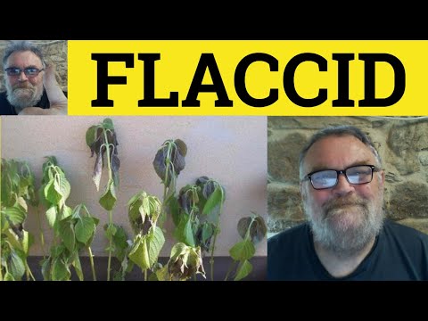 π΅ Flaccid Meaning - Flaccid Examples - Flaccid Defined - Literary Vocabulary - Flaccid
