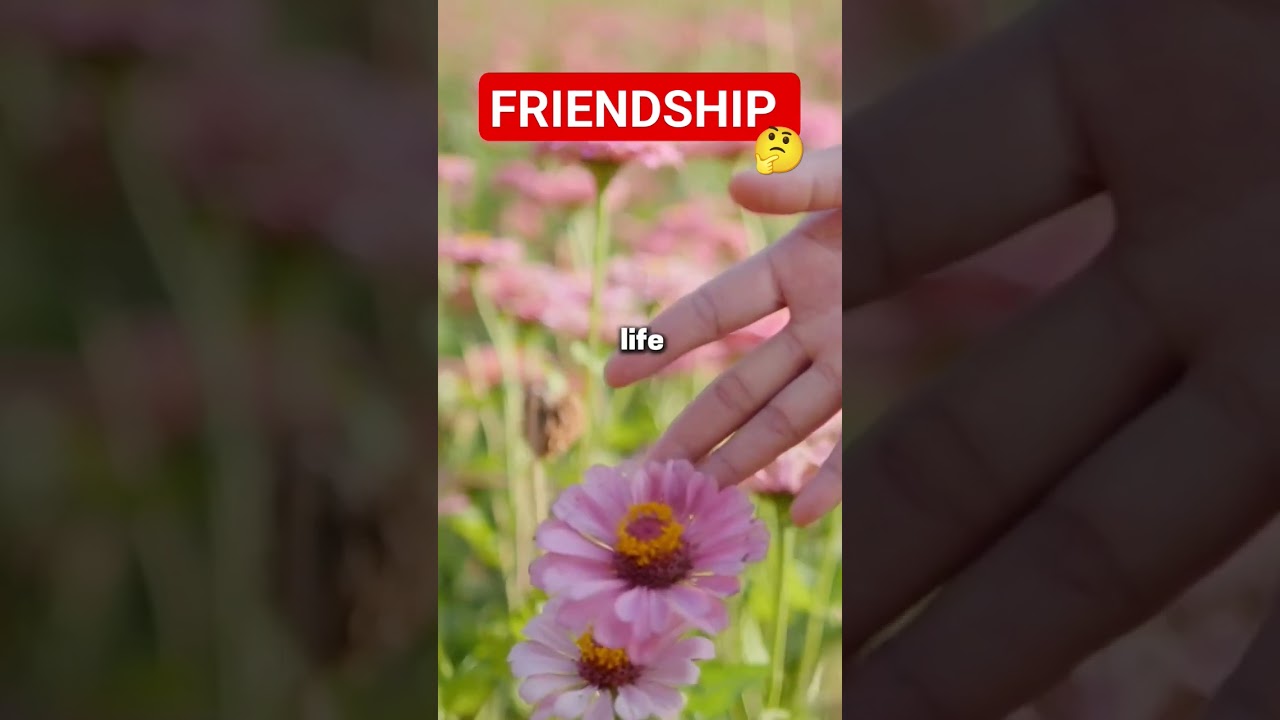 #shorts Friendship #positivevibes #ytshorts