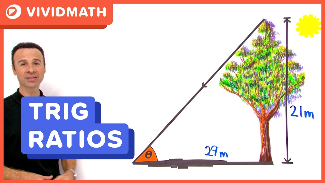 Trigonometry: Trig Ratios - VividMath.com