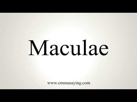 How To Pronounce Maculae