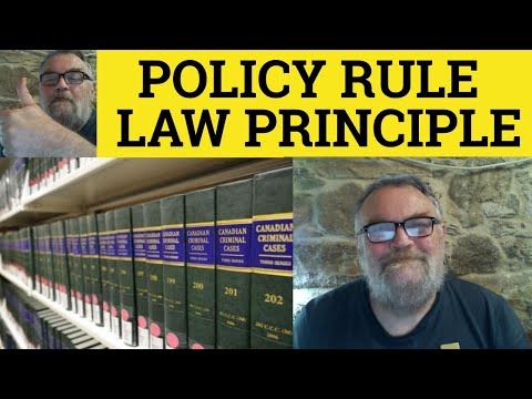 🔵 Policy Rule Law Principle - Policy Rule Law Principle Meaning