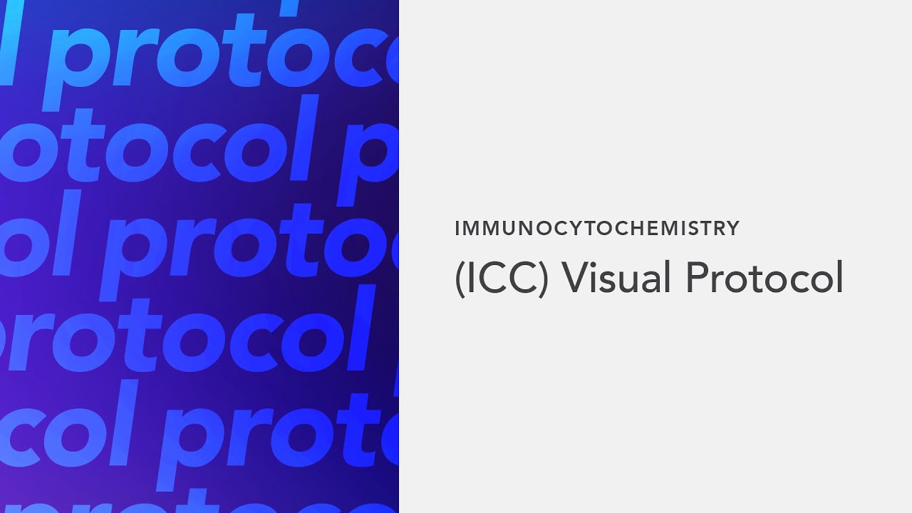 Immunocytochemistry Protocol