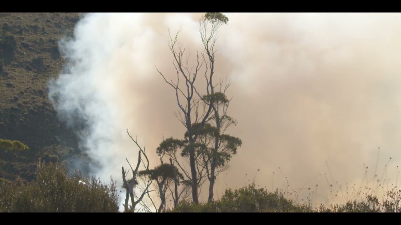 TDS Aerial Drip Torch Drone