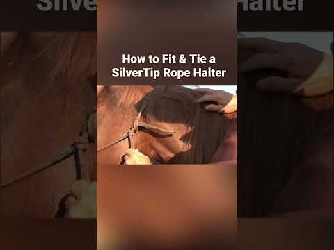How to Properly Fit & Tie a SilverTip Rope Halter with Richard Winters 👌🏼🇺🇸