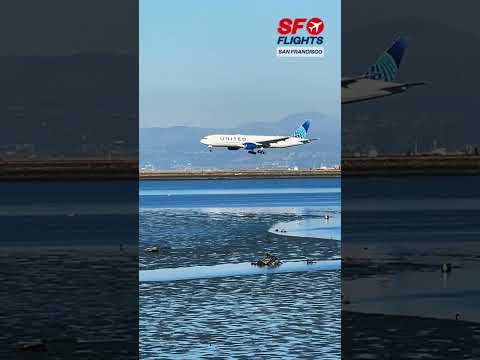 ✈️ Airline: United Airlines 🇺🇸📍Location : San Francisco International Airport #planespotting