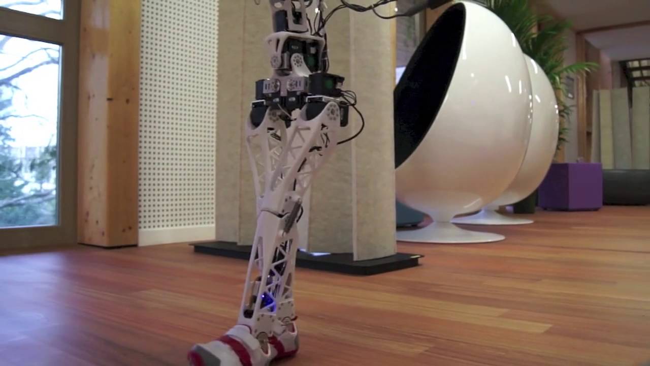 Poppy Humanoid first steps
