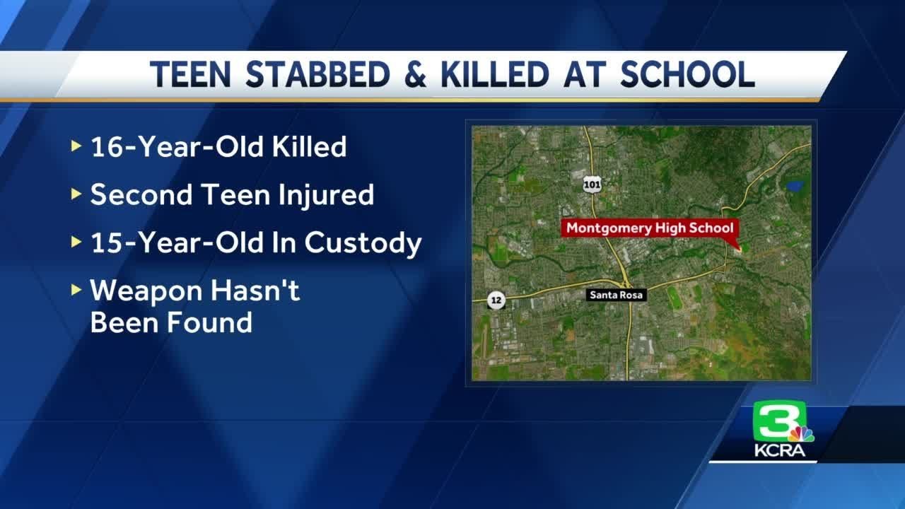 Police: Santa Rosa-area high schooler fatally stabbed classmate