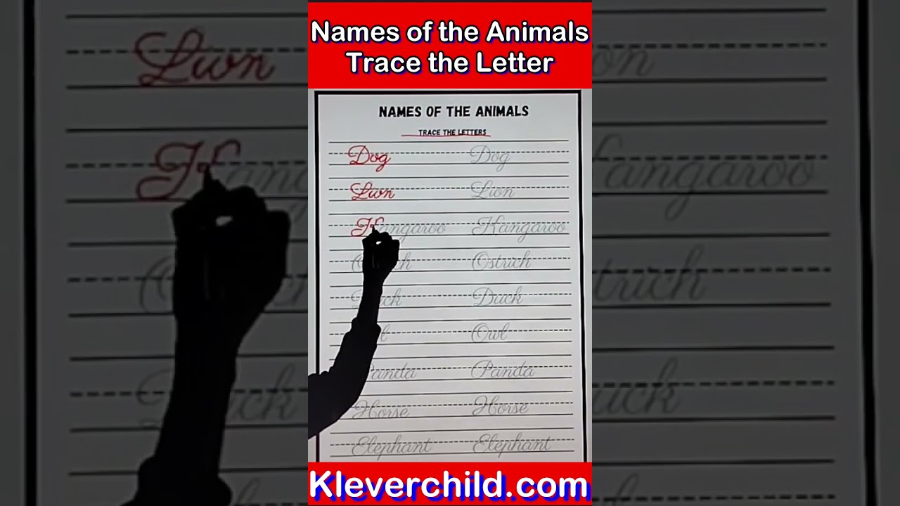 Interactive Preschool Activities PDF | Engage, Learn, Grow