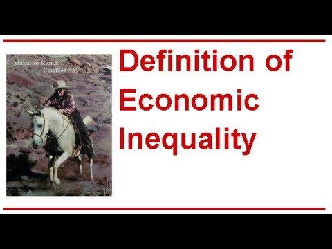 Definition of Economic Inequality; Definition of Economic Inequality Changes Here!