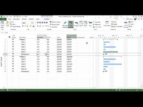Task Planning using Microsoft Project