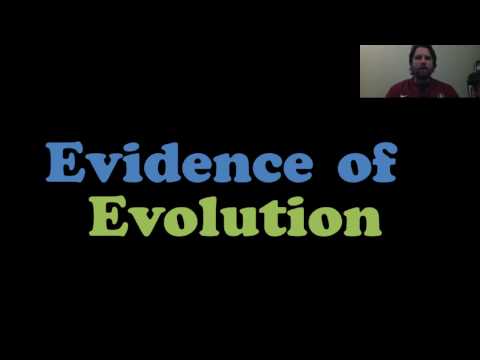 Evidence of Evolution
