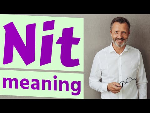 Nit | Definition of nit