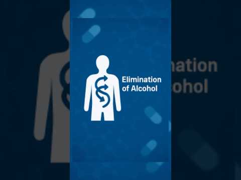 How Long Alcohol Stays in Your System 🍺⏳ | PharmaRisk