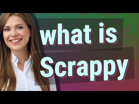 Scrappy | meaning of Scrappy
