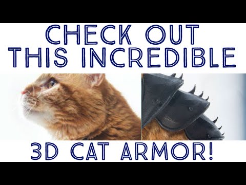 Check out this incredible 3D cat armor!