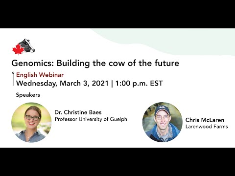 Genomics: Building the Cow of the Future