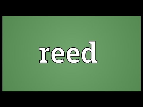 Reed Meaning