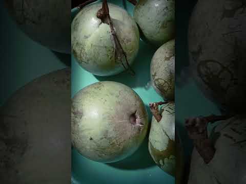 Star 🍏 Apple #short #shortviral #viral #trending #fruit