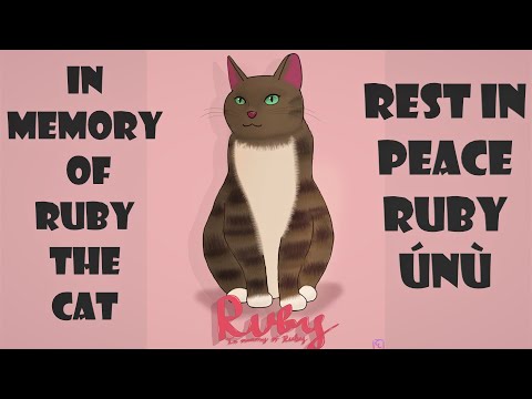 In Memory of Ruby | Clip Studio Paint