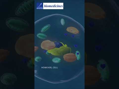 All articles in Biomedicines (ISSN 2227-9059) are now freely available to access, read and download